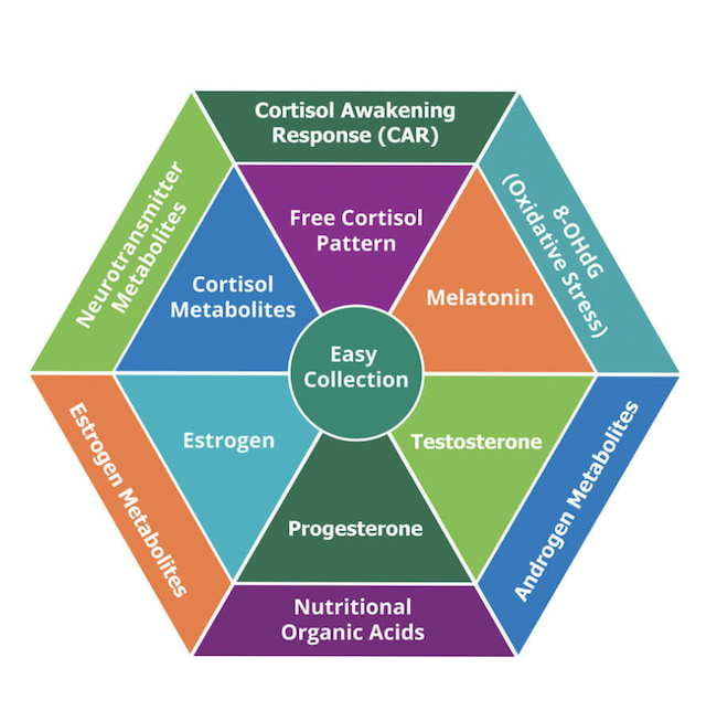 DUTCH Hormone Testing: Embrace Perimenopause with Confidence. - Feel ...